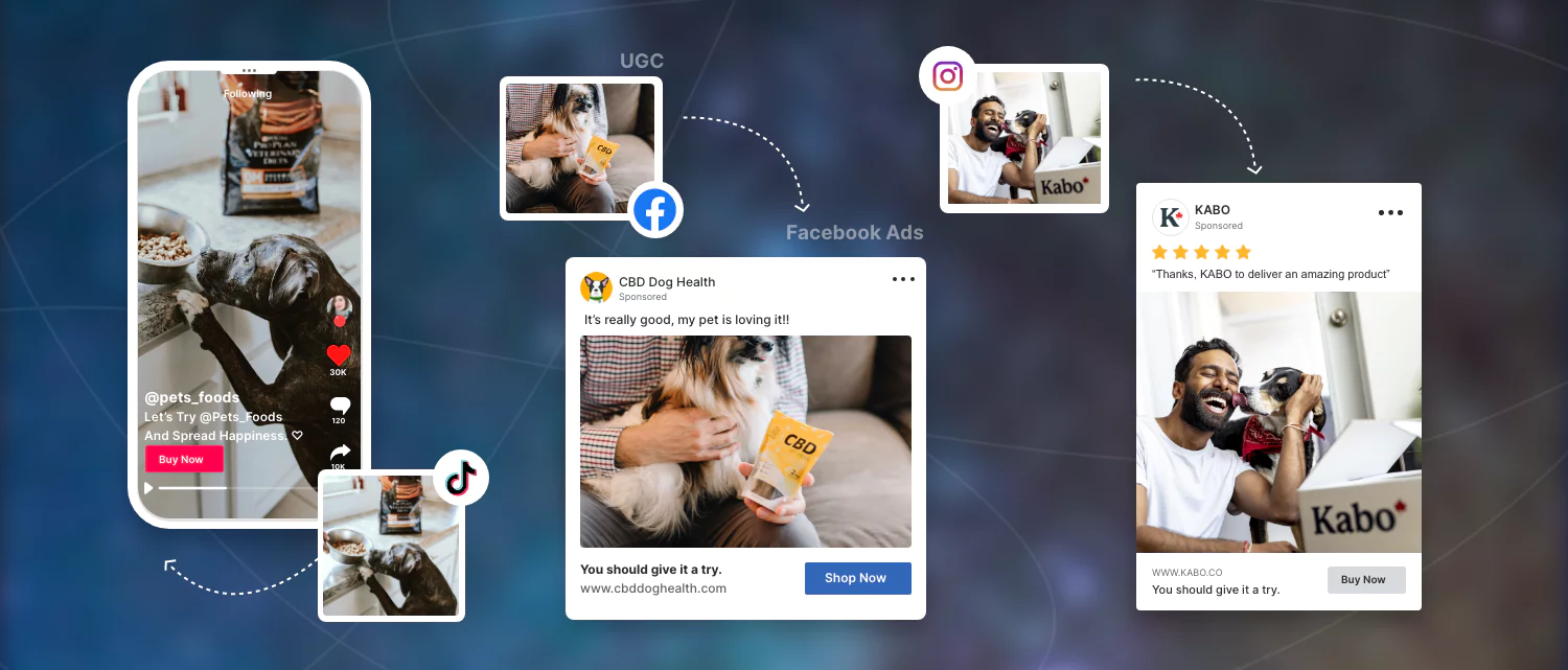 Facebook Ads Pro Max 2025 (Coming Soon) - Learn Advance Facebook Ads